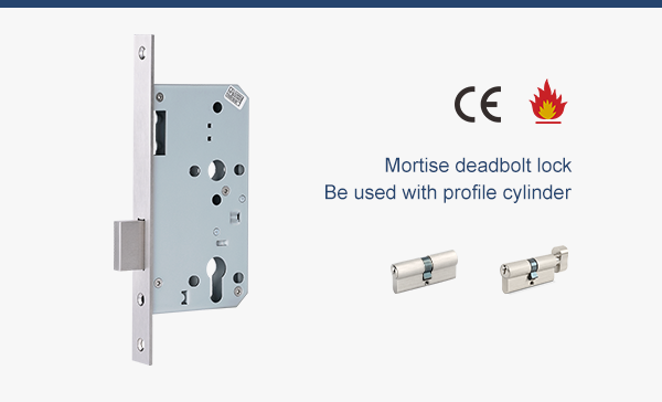 Common Types of Fire Rated Mortise Lock and Their Applications - Dirock ...